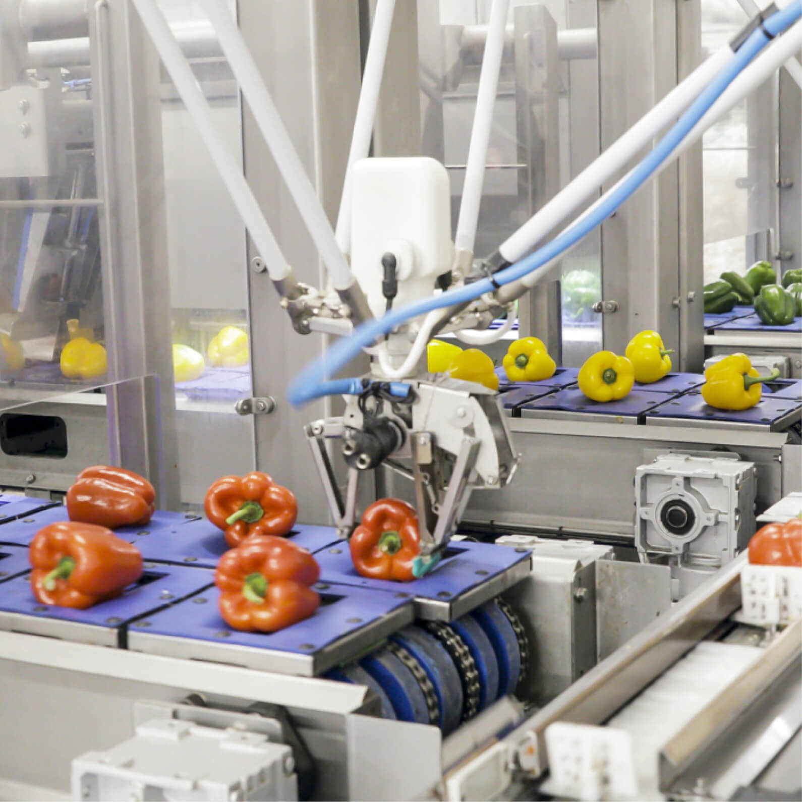 Sistema de visión FH | OMRON, España