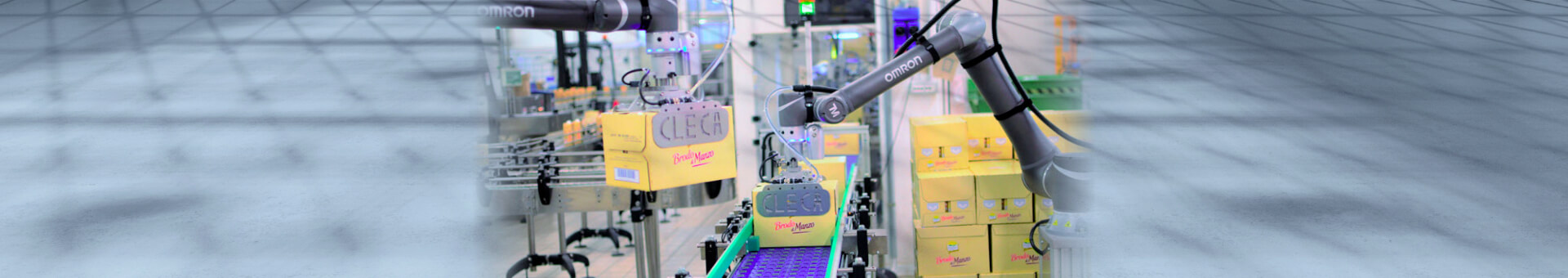 Mixed Boxes in Secondary Packaging | OMRON, Europe